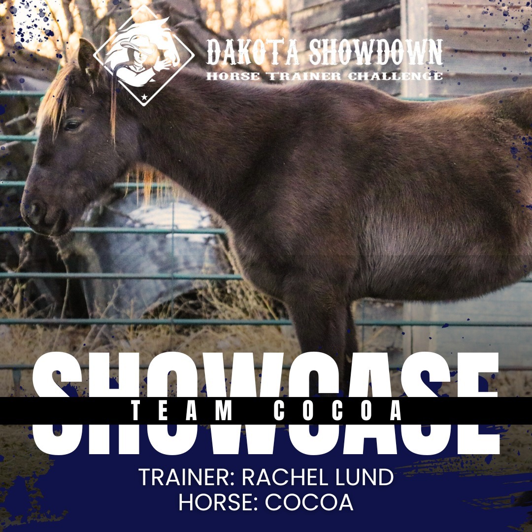 Team Cocoa- June 8, 2025 - Update!